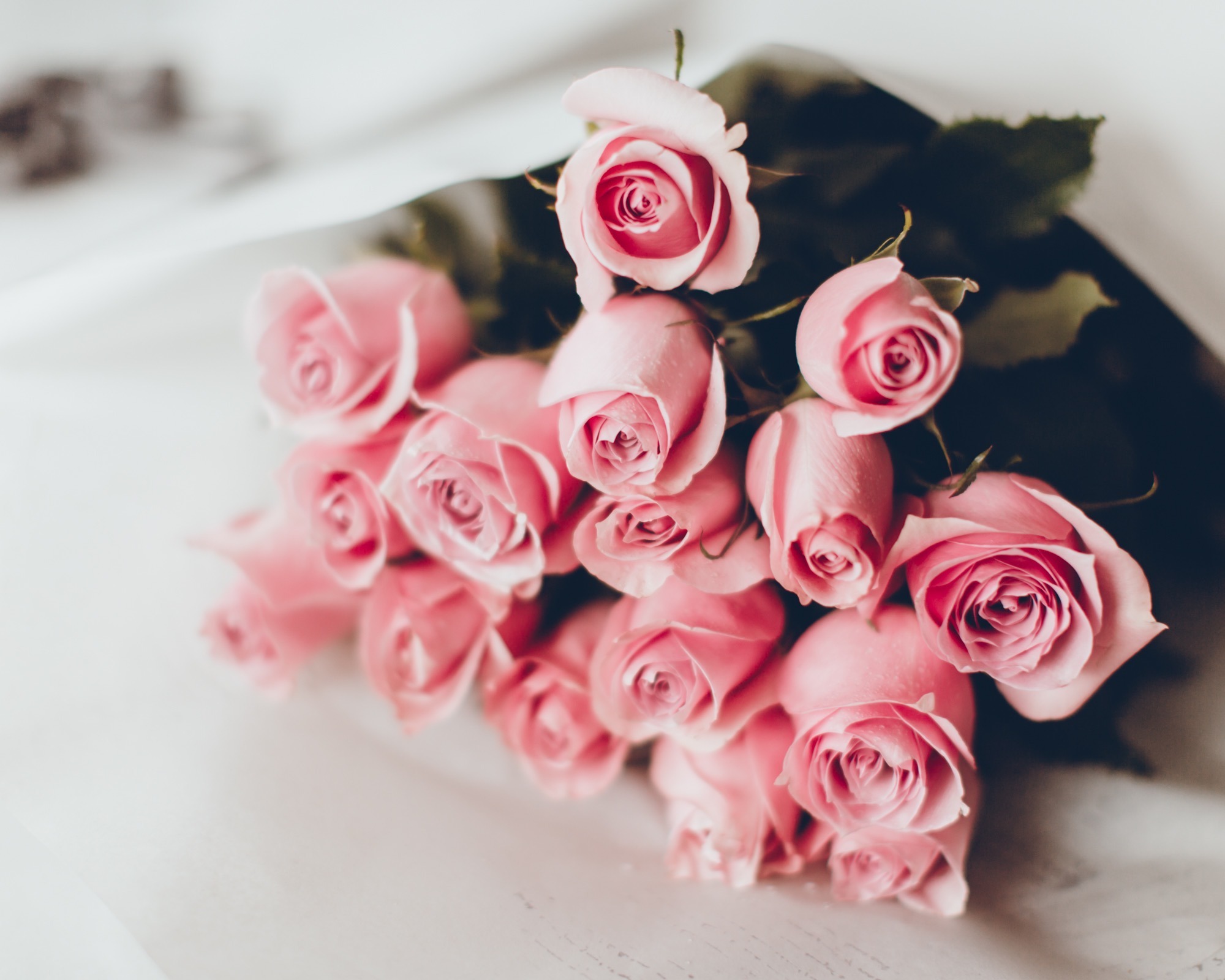 ROZE RUŽE | LELA DESIGN